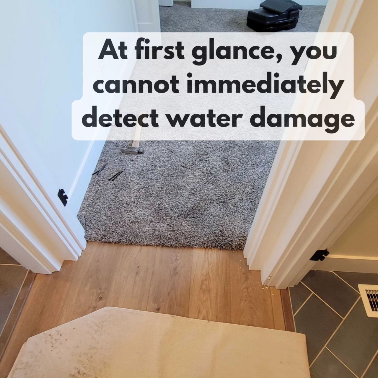 Verg Restoration - Support Latino Business