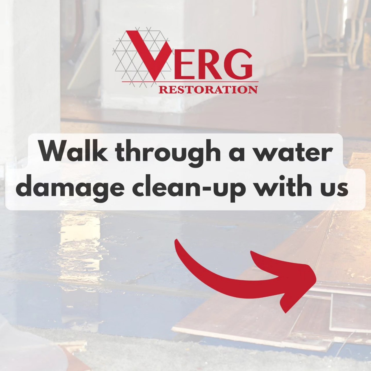 Verg Restoration - Support Latino Business